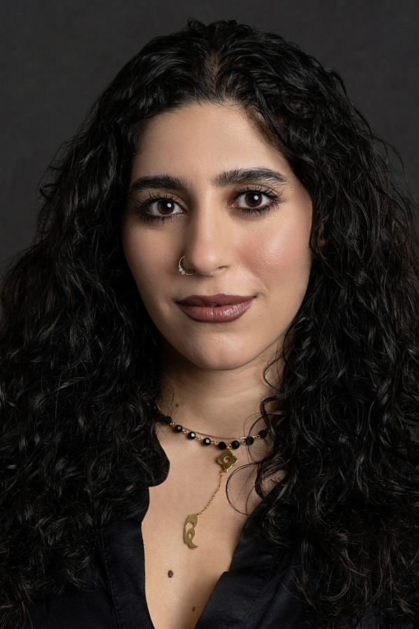 Corporate Board Of Directors | SASi